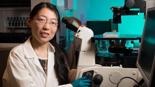 New Study Shows Skin Cells Creating Insulin-Producing Cells - Diabetic Live